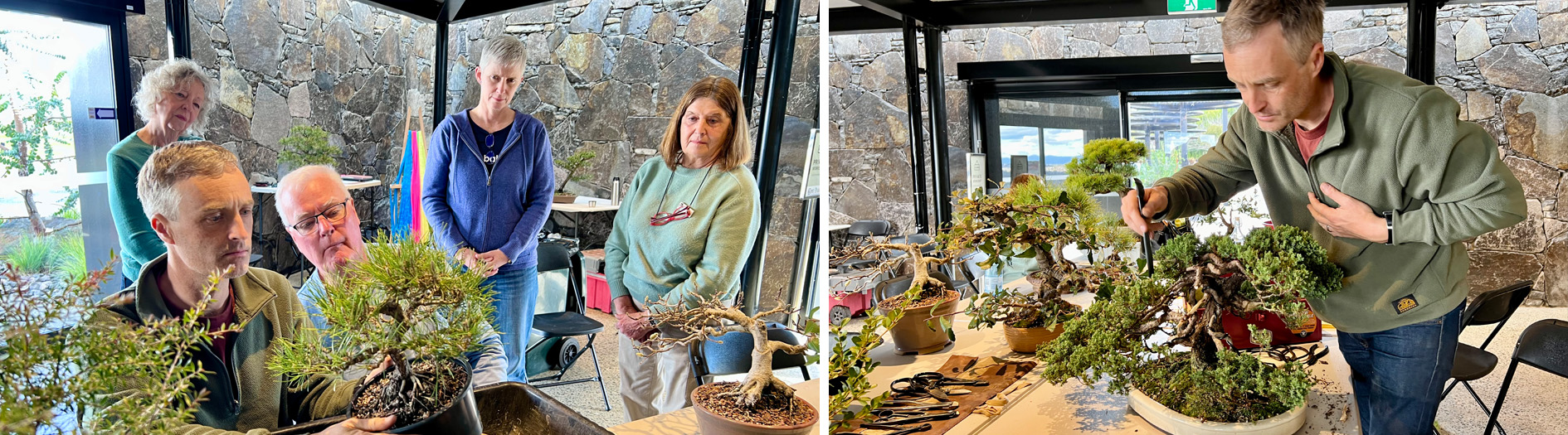 Bonsai Artist In Residence - National Arboretum