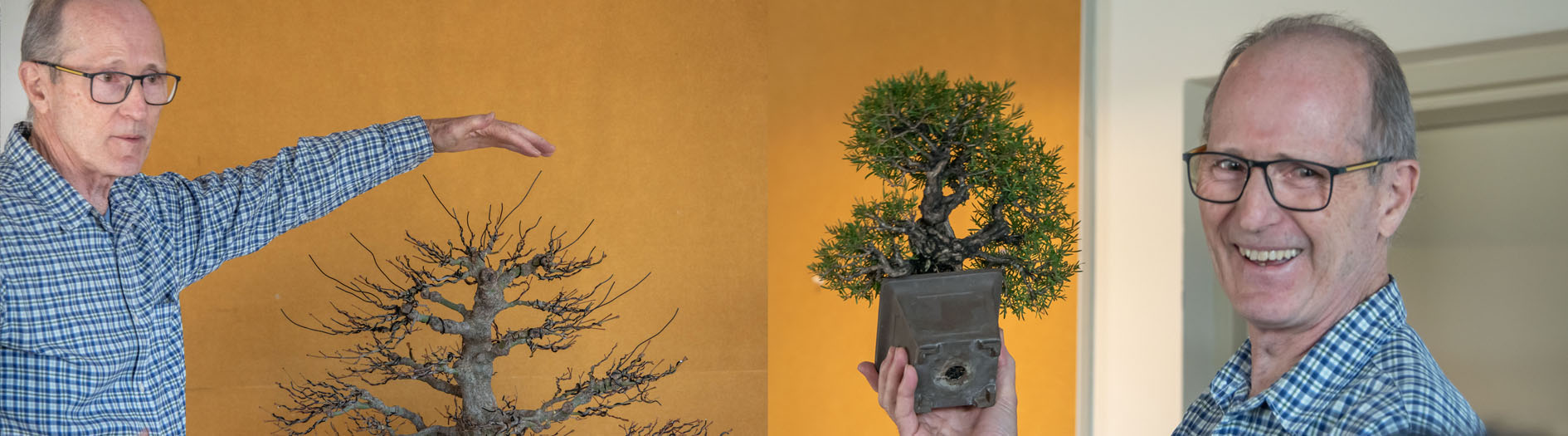 Bonsai Artist in Residence - Stephen Cullum - National Arboretum